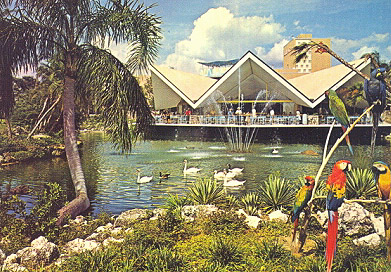 History Of Busch Gardens Tampa | Fasci Garden